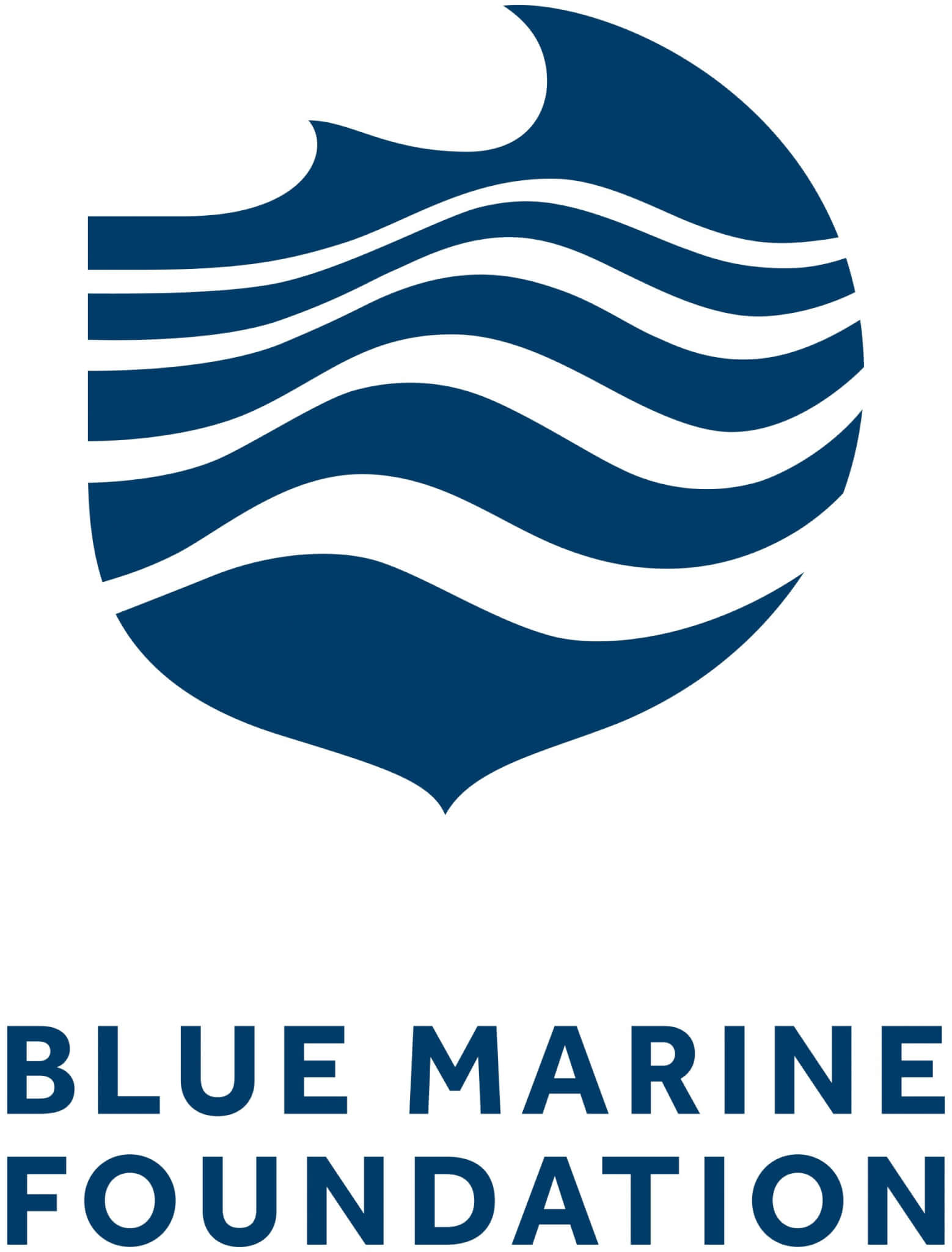 Blue Marine Foundation Blue Carbon Partnership Blue Marine Foundation Blue Carbon Partnership