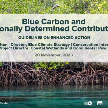 Resources | Blue Carbon Partnership